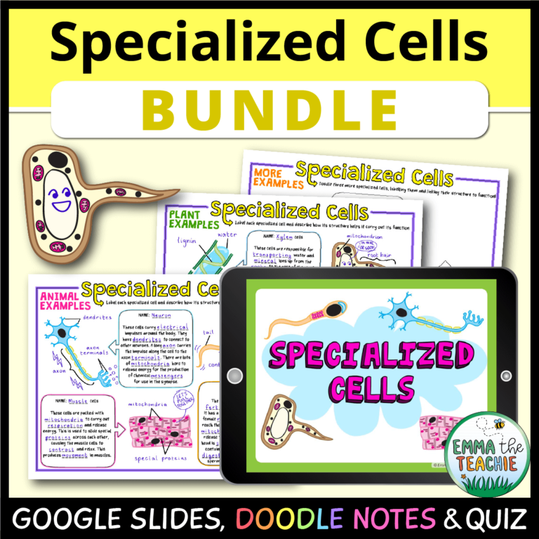 Specialized Cells Lesson Bundle - Emmatheteachie Resources