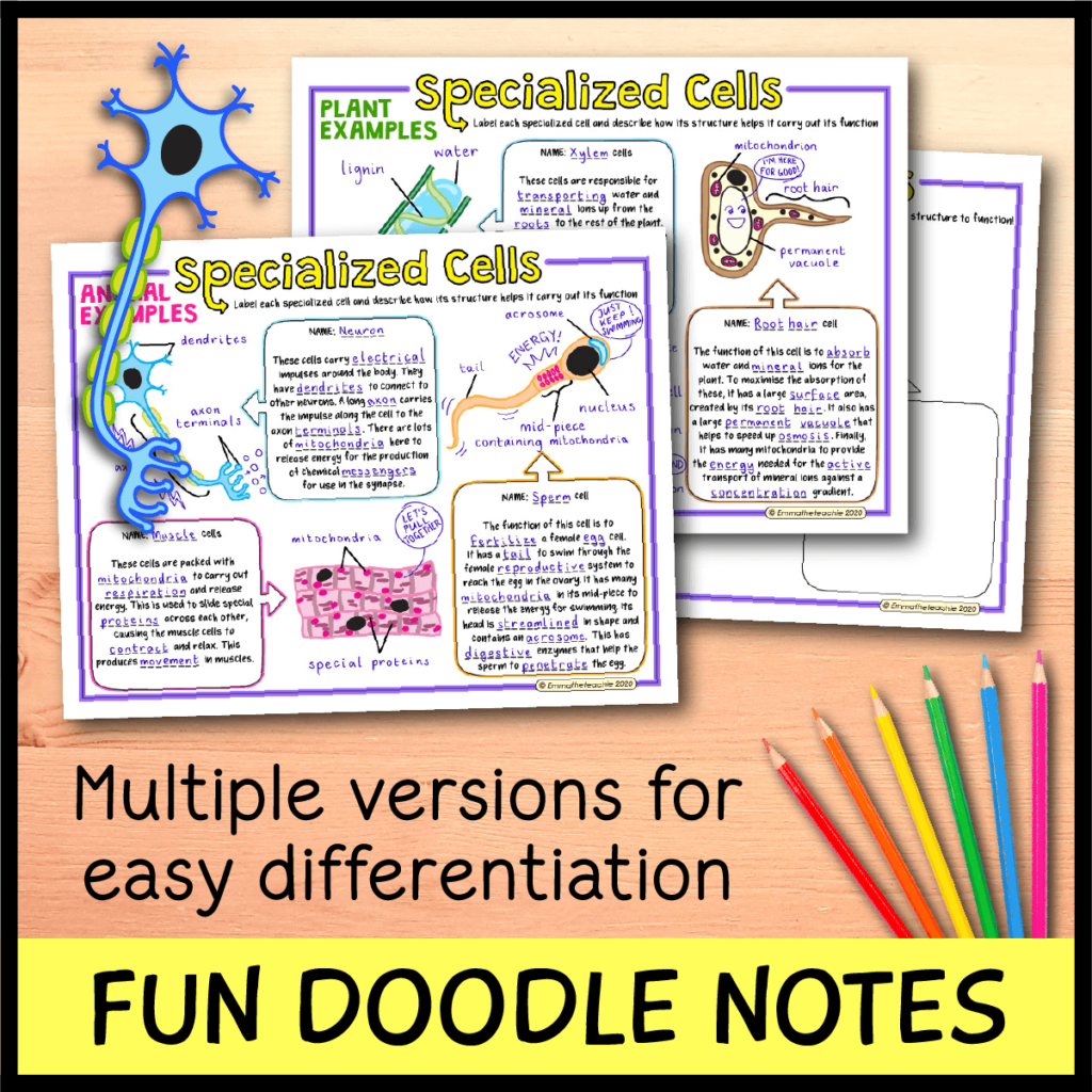 Specialized Cells Lesson Bundle - Emmatheteachie Resources
