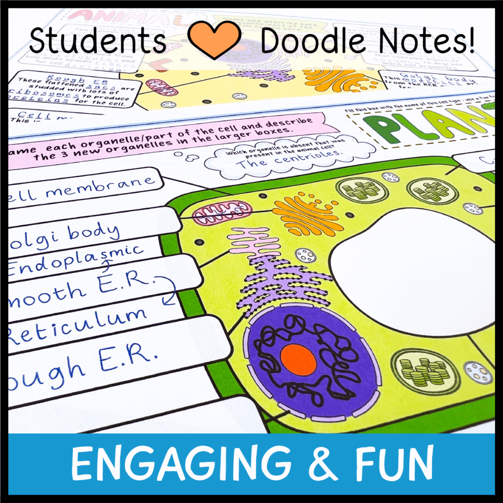 Cell Organelles Doodle Notes - Emmatheteachie