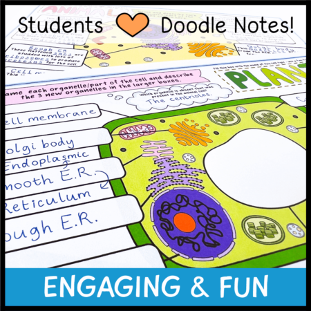 Cell Organelles Doodle Notes - Emmatheteachie