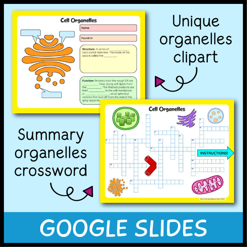Cell Organelles Lesson Bundle - Emmatheteachie Resources
