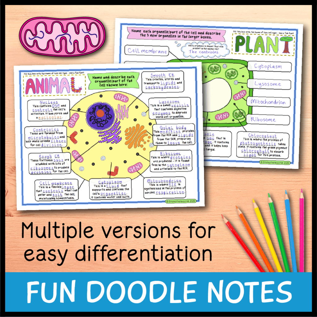 Cell Organelles Lesson Bundle - Emmatheteachie Resources