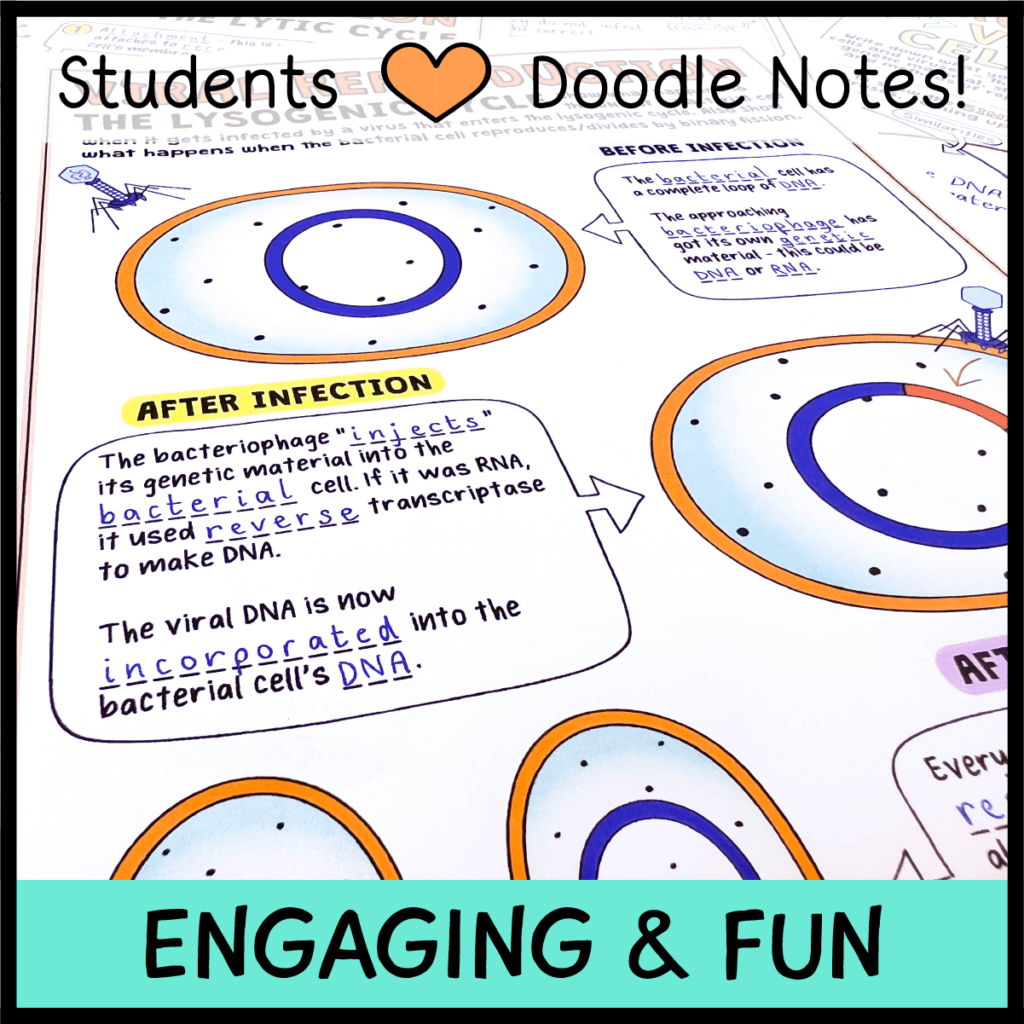 Viruses Doodle Notes - Emmatheteachie