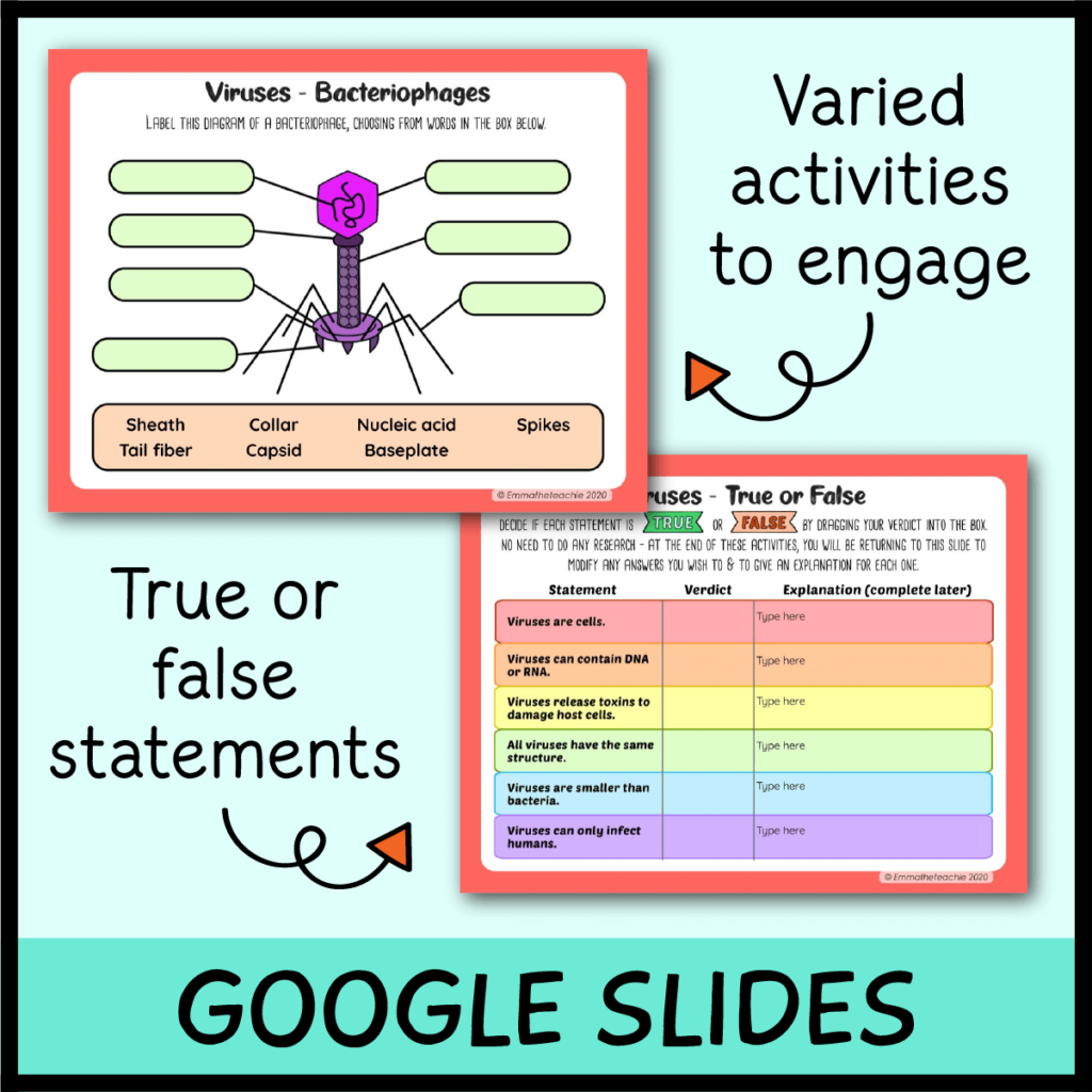 Viruses Lesson Bundle - Emmatheteachie Resources