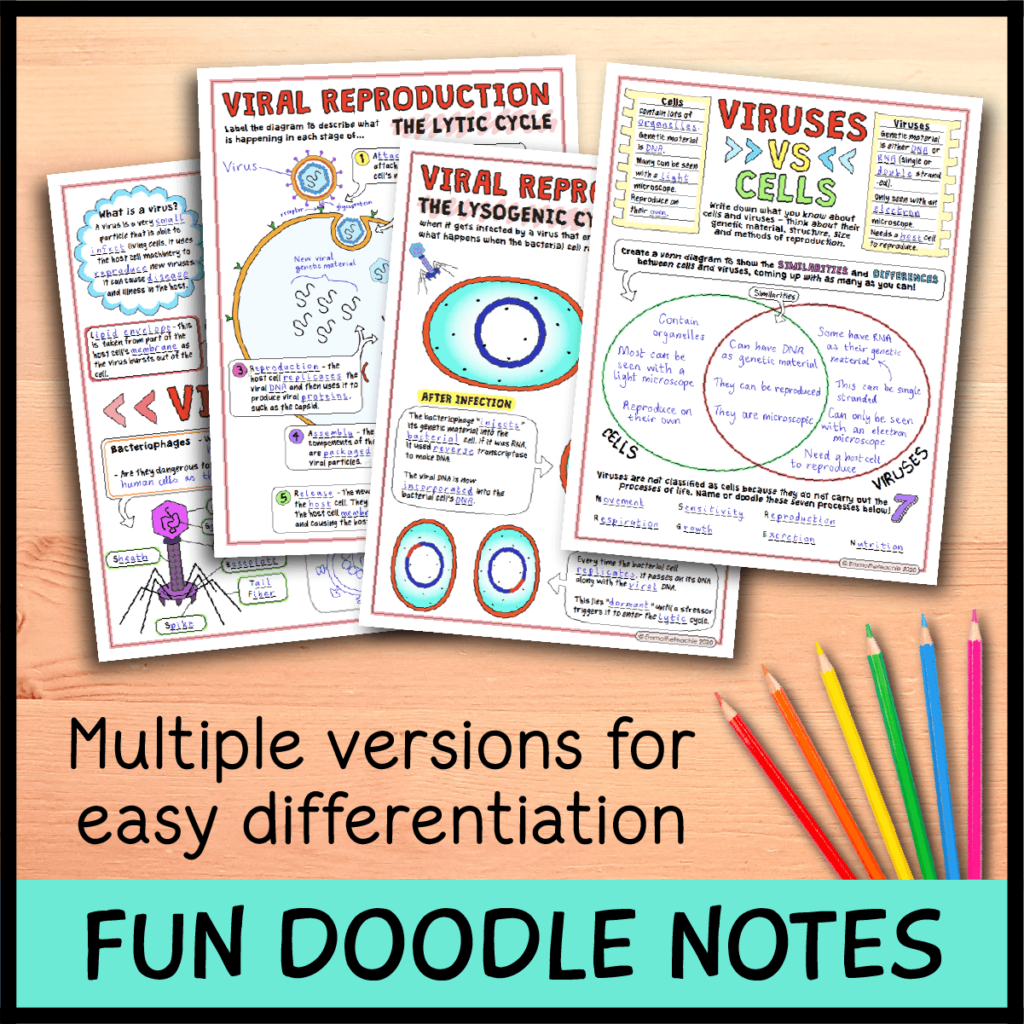Viruses Lesson Bundle - Emmatheteachie Resources