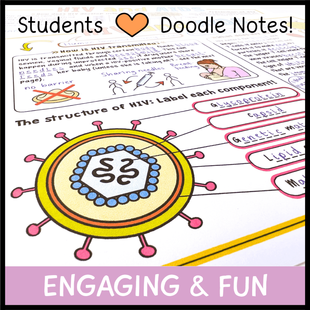 HIV and AIDS Doodle Notes - Emmatheteachie