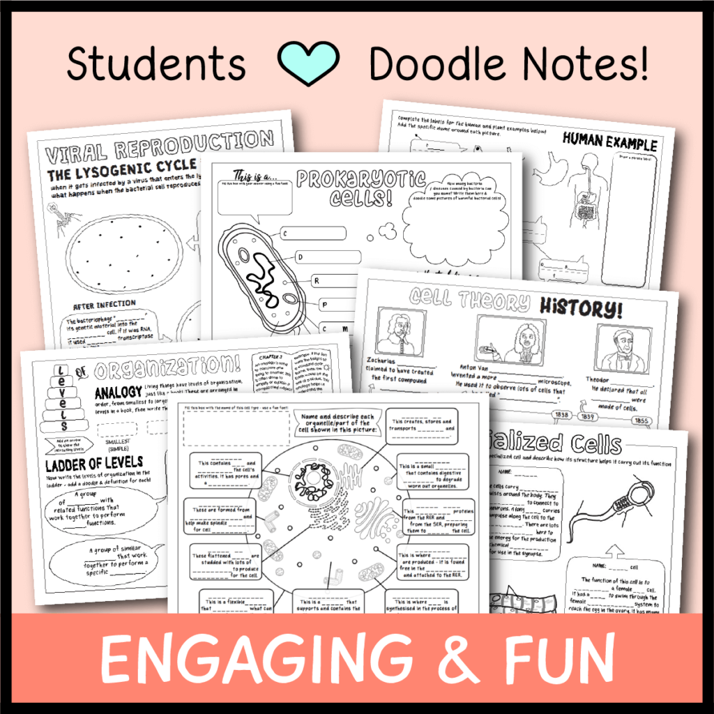 Cells and Viruses Unit Bundle Doodle Notes - Emmatheteachie