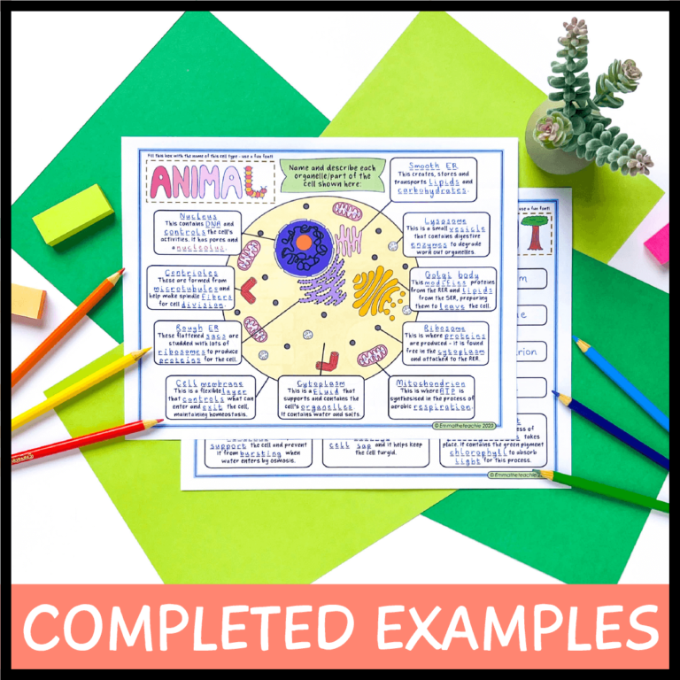cells-and-viruses-unit-bundle-doodle-notes-emmatheteachie