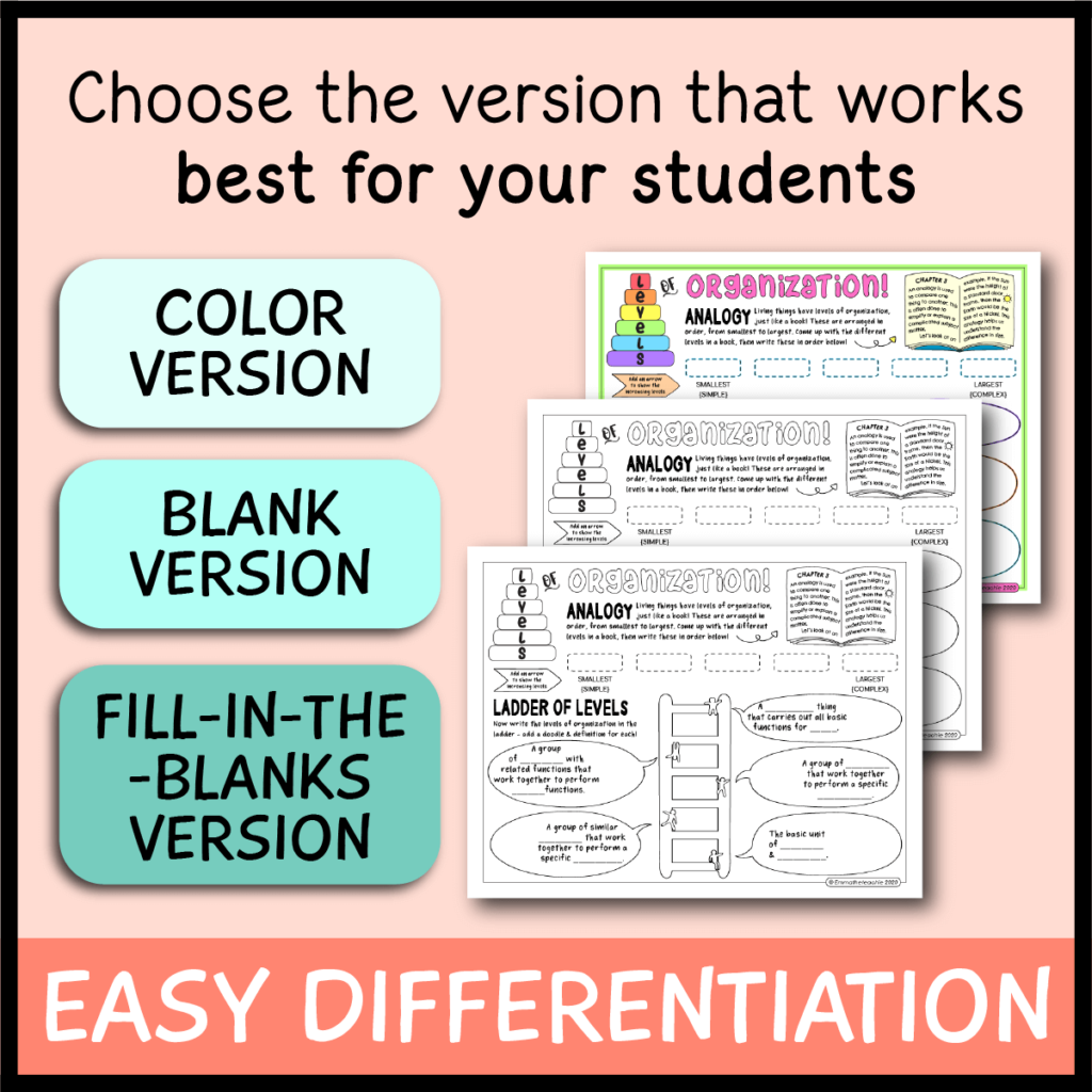 Cells and Viruses Unit Bundle Doodle Notes - Emmatheteachie
