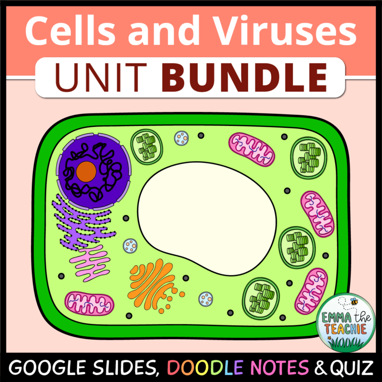Cell Theory Doodle Notes - Emmatheteachie Resources