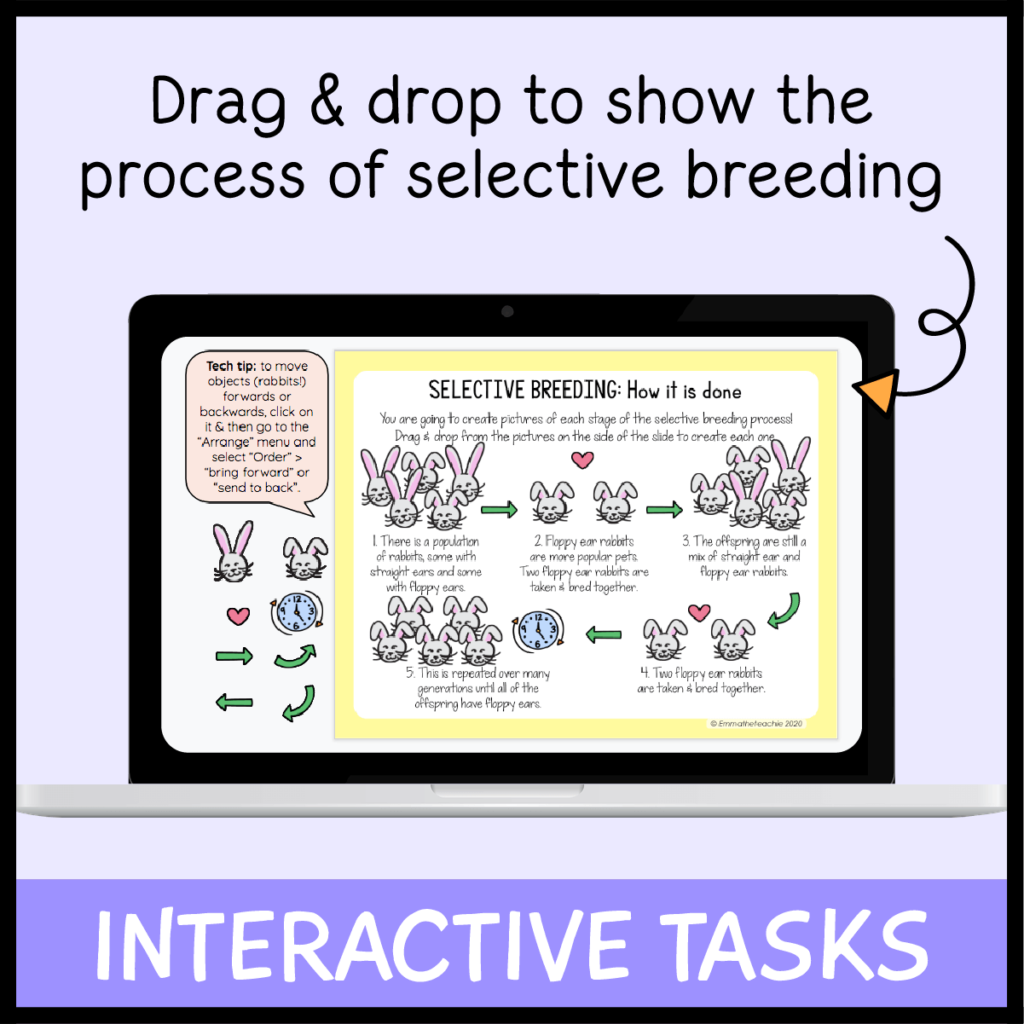Selective Breeding Google Slides - Emmatheteachie