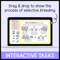 Selective Breeding Google Slides - Emmatheteachie