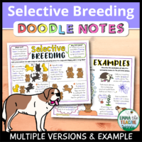 Selective Breeding Lesson Bundle Emmatheteachie Resources