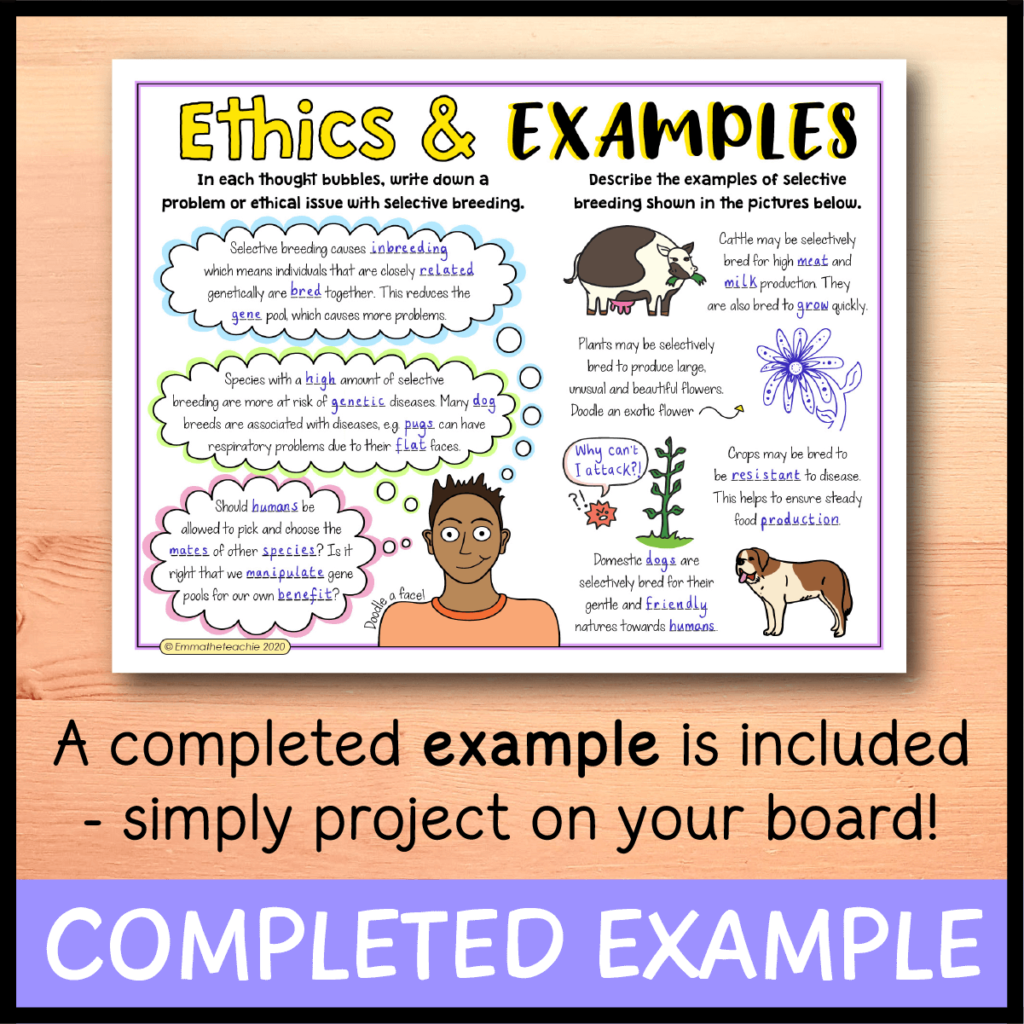 Selective Breeding Doodle Notes - Emmatheteachie