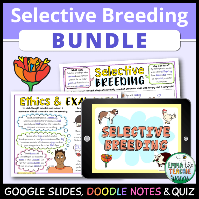 Selective Breeding Lesson Bundle - Emmatheteachie Resources