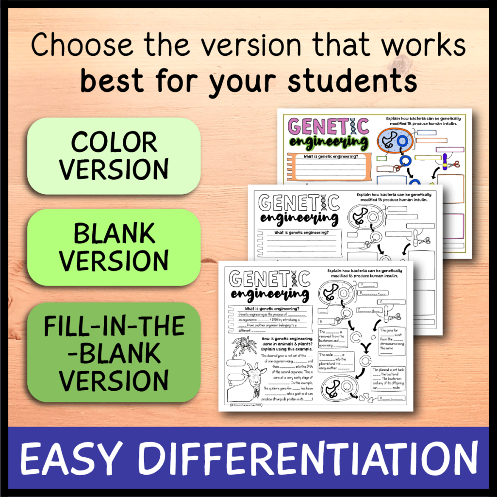 Genetic Engineering Doodle Notes - Emmatheteachie