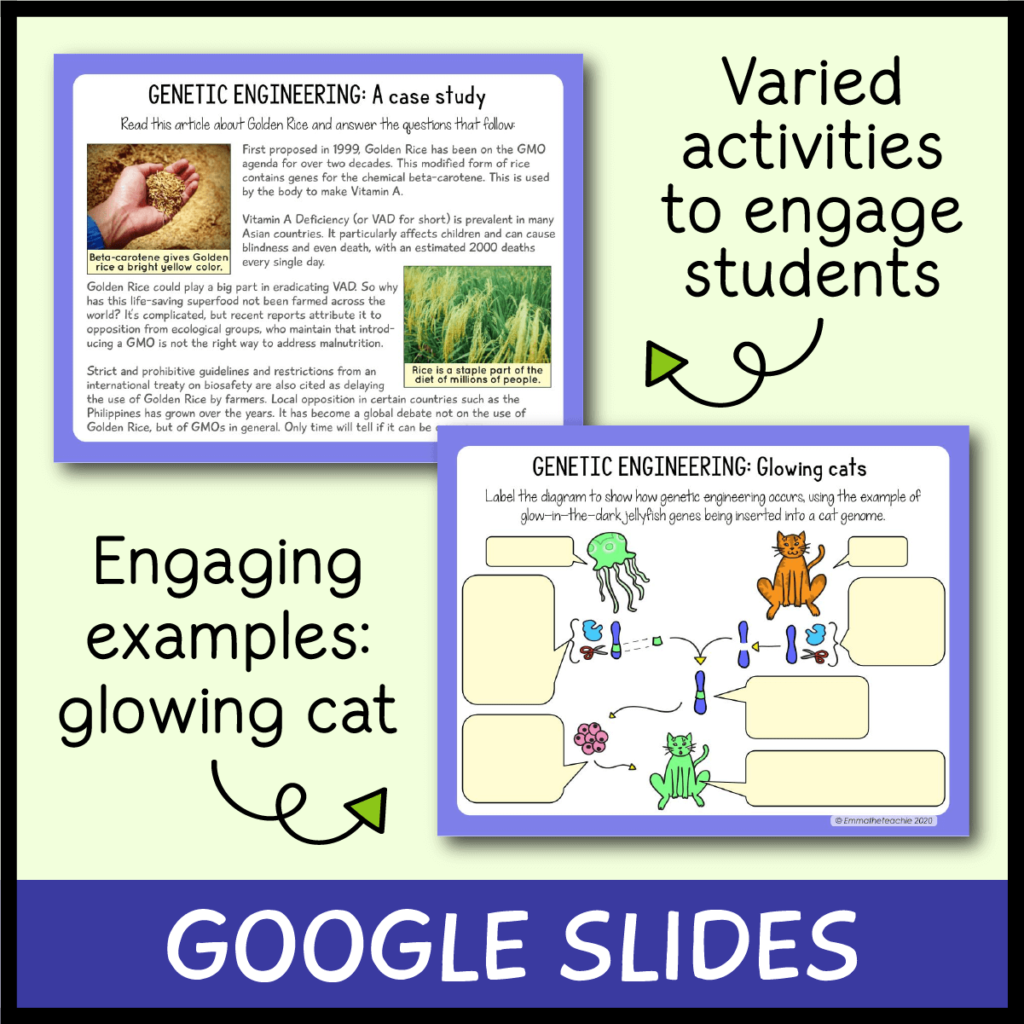 Genetic Engineering Lesson Bundle - Emmatheteachie Resources