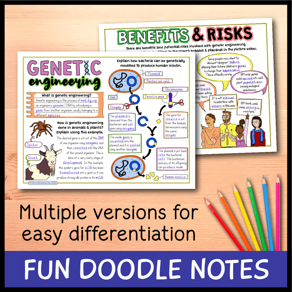 Genetic Engineering Lesson Bundle - Emmatheteachie Resources