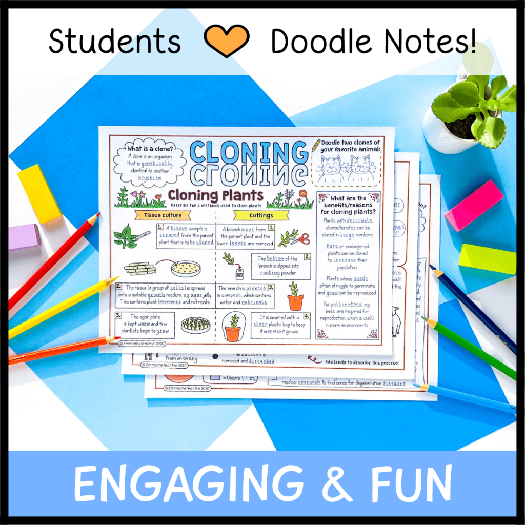 Cloning Doodle Notes - Emmatheteachie