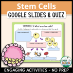 Stem Cells Google Slides - Emmatheteachie