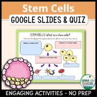Stem Cells Google Slides - Emmatheteachie