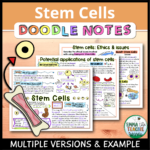 Stem Cells Doodle Notes - Emmatheteachie