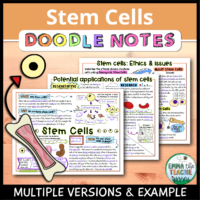 Stem Cells Doodle Notes - Emmatheteachie
