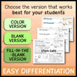 Stem Cells Doodle Notes - Emmatheteachie