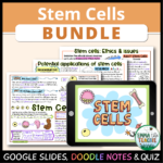 Stem Cells Doodle Notes - Emmatheteachie