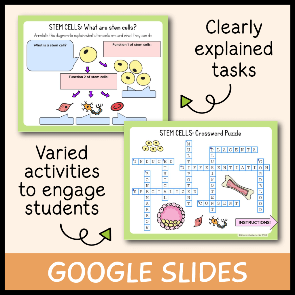 Stem Cells Lesson Bundle - Emmatheteachie Resources