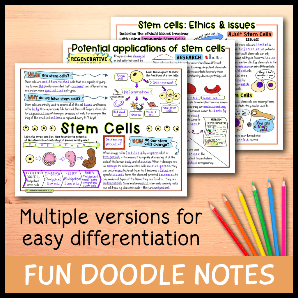 Stem Cells Lesson Bundle - Emmatheteachie Resources