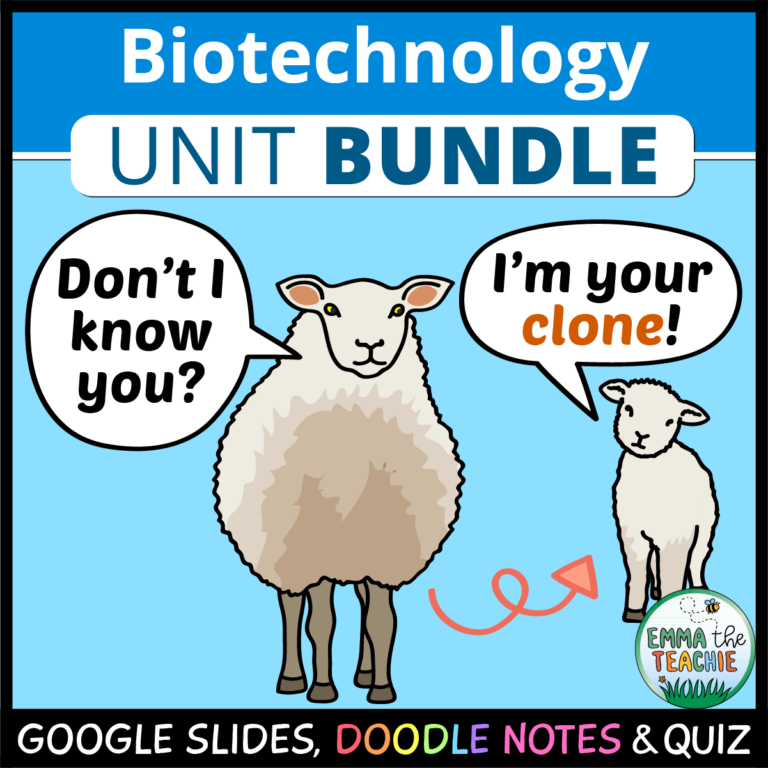 Stem Cells Doodle Notes - Emmatheteachie