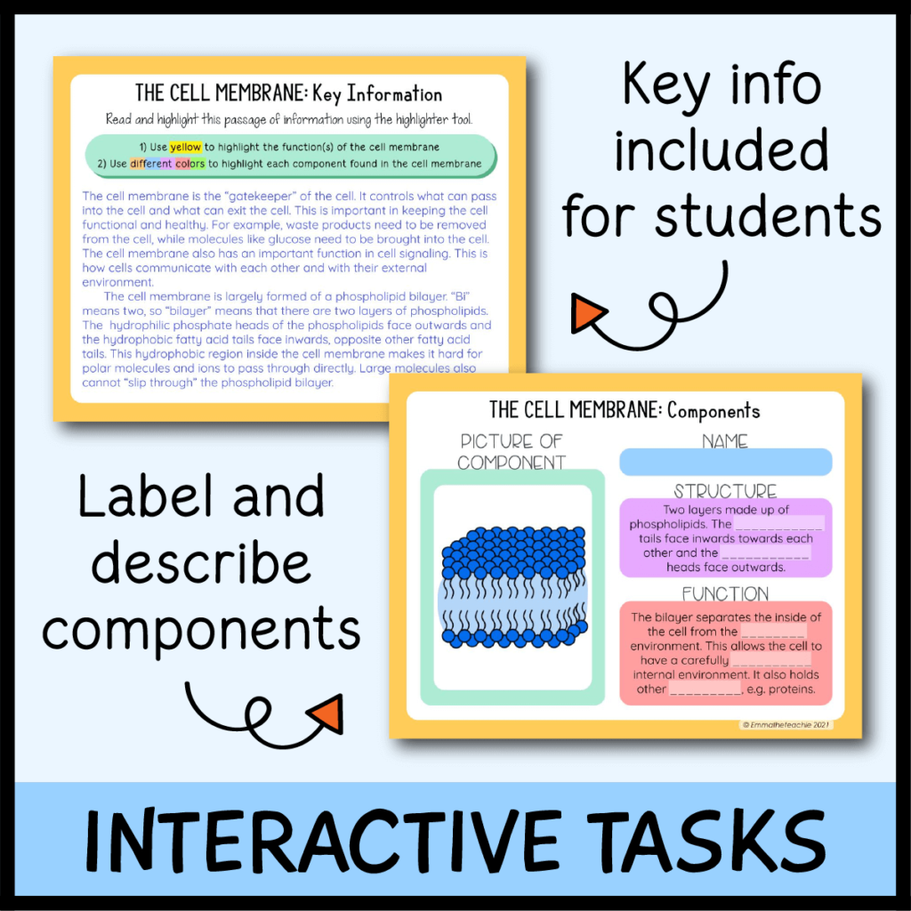 Cell Membrane Google Slides - Emmatheteachie Resources