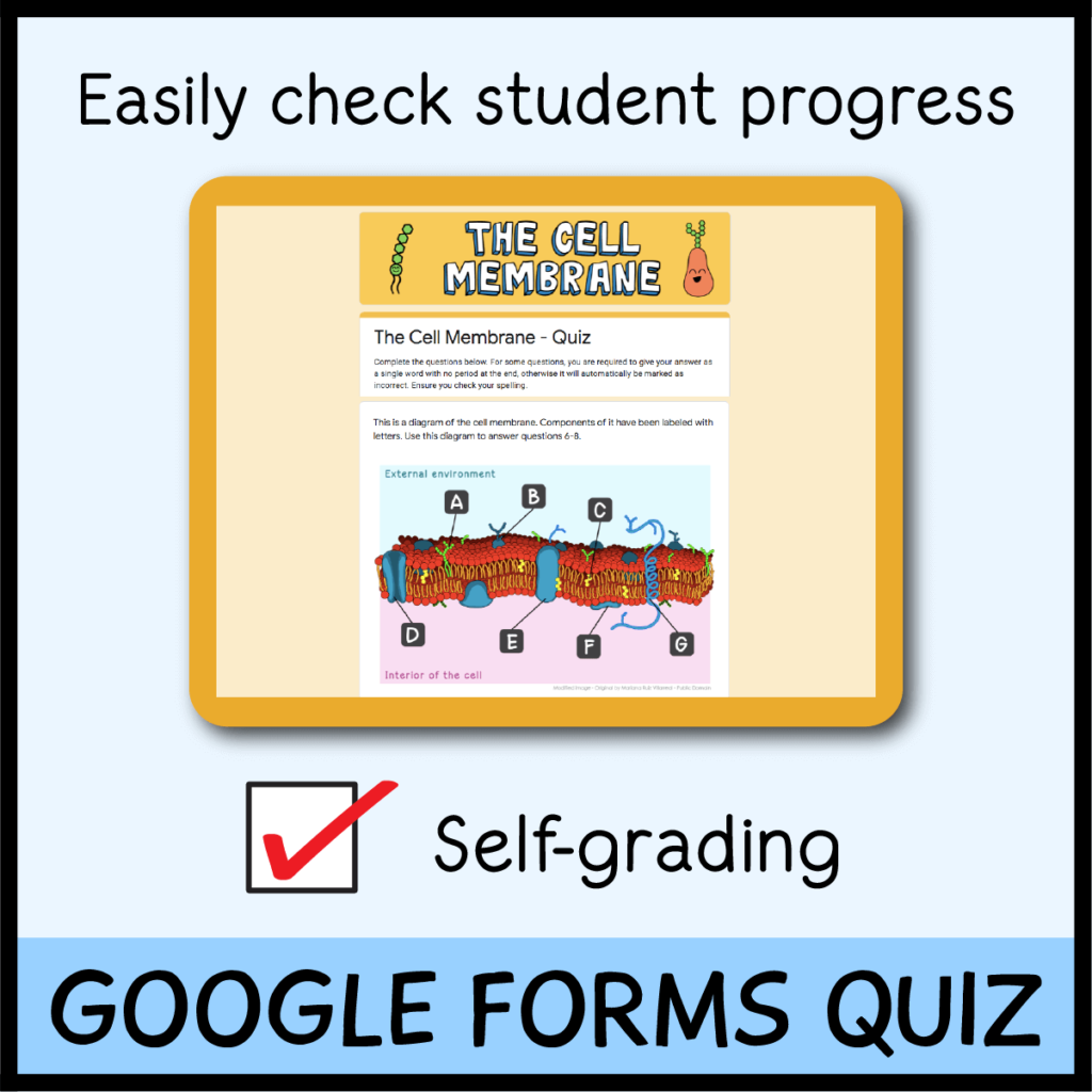 Cell Membrane Google Slides - Emmatheteachie Resources