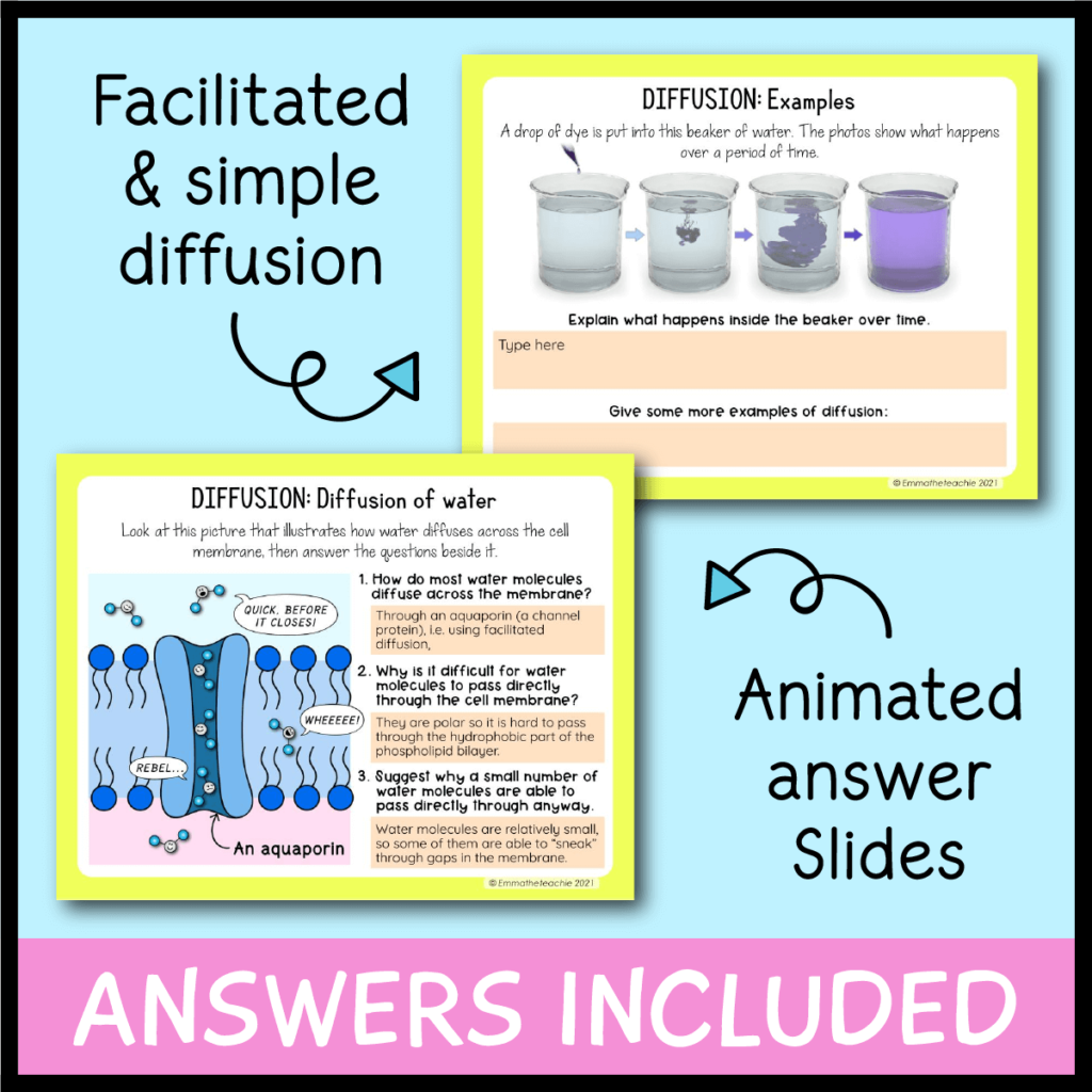 Diffusion Google Slides - Emmatheteachie Resources