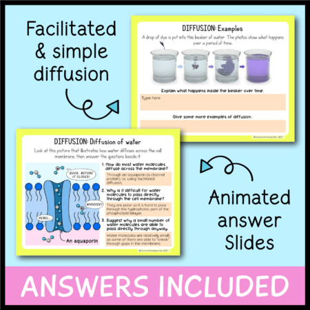 Diffusion Google Slides - Emmatheteachie Resources