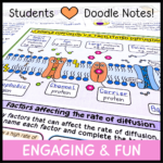 Diffusion Doodle Notes - Emmatheteachie