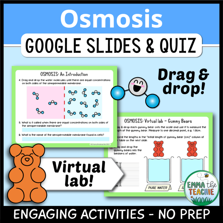 Osmosis Google Slides - Emmatheteachie Resources