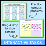 Osmosis Google Slides - Emmatheteachie Resources