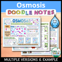 Osmosis Doodle Notes - Emmatheteachie Resources