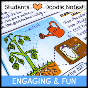 Osmosis Doodle Notes - Emmatheteachie Resources