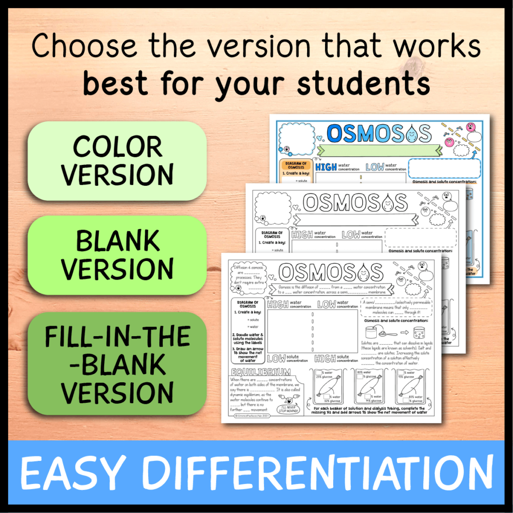 Osmosis Doodle Notes - Emmatheteachie Resources