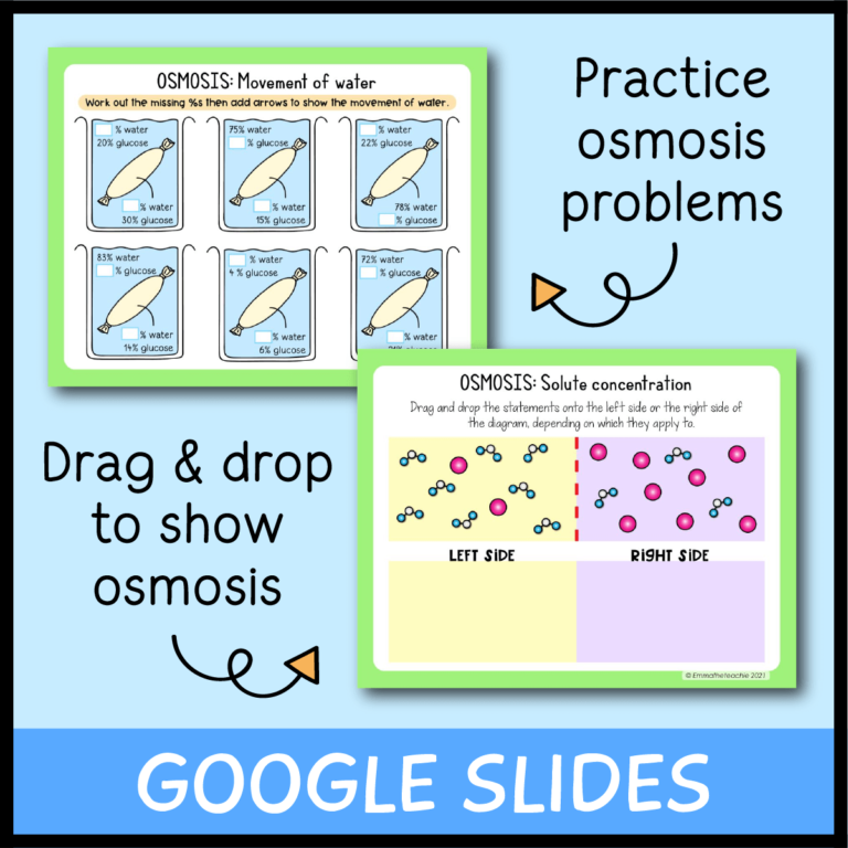 Osmosis Lesson Bundle - Emmatheteachie Resources