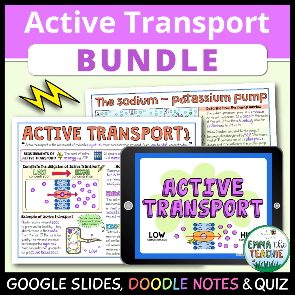Active Transport Lesson Bundle - Emmatheteachie Resources