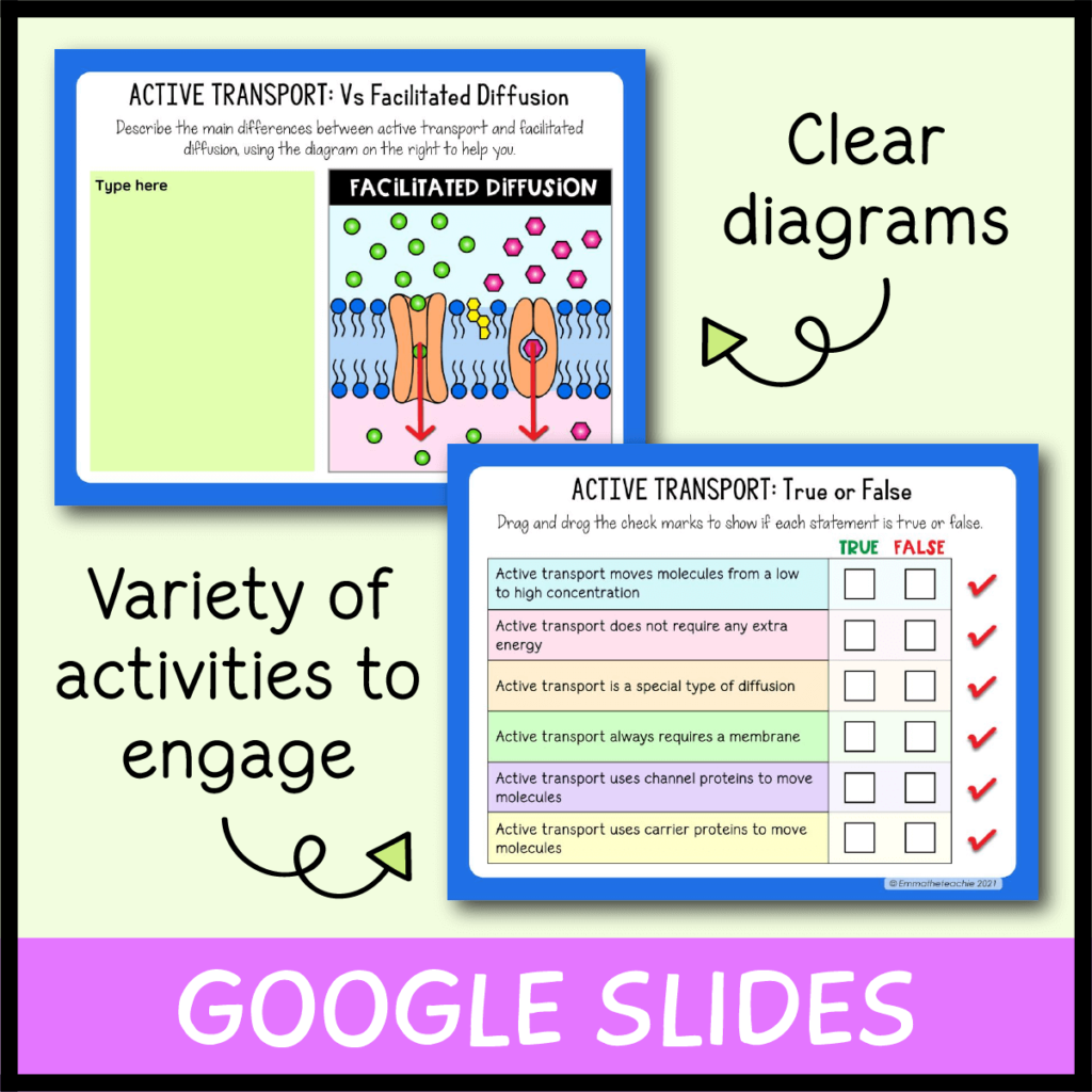 Active Transport Lesson Bundle - Emmatheteachie Resources