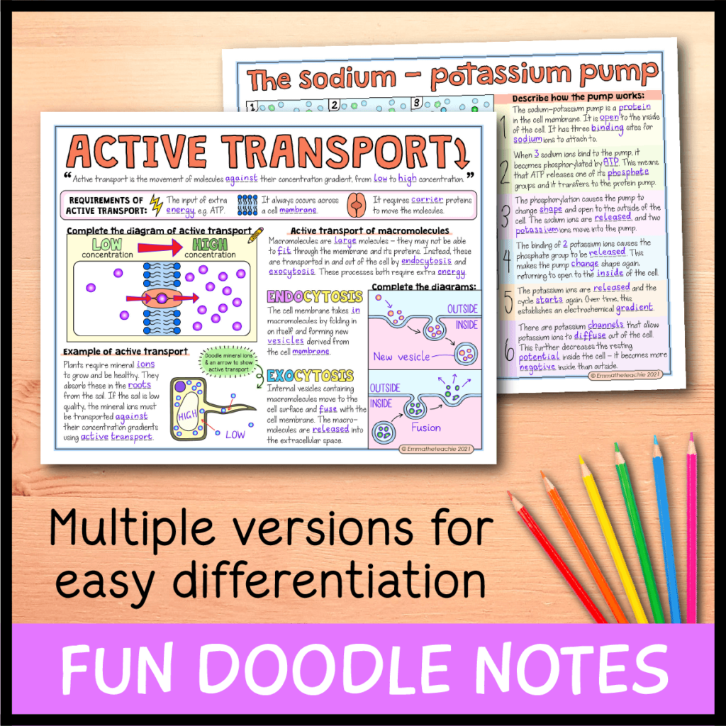Active Transport Lesson Bundle - Emmatheteachie Resources