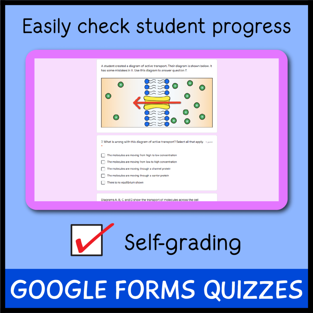 Cell Transport Google Slides Unit Bundle - Emmatheteachie
