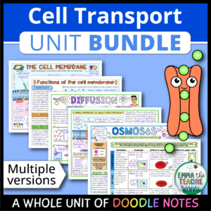 Osmosis Doodle Notes - Emmatheteachie Resources