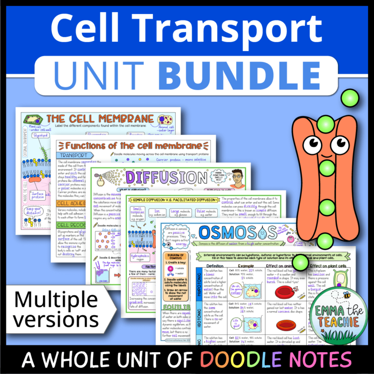 Osmosis Doodle Notes - Emmatheteachie Resources