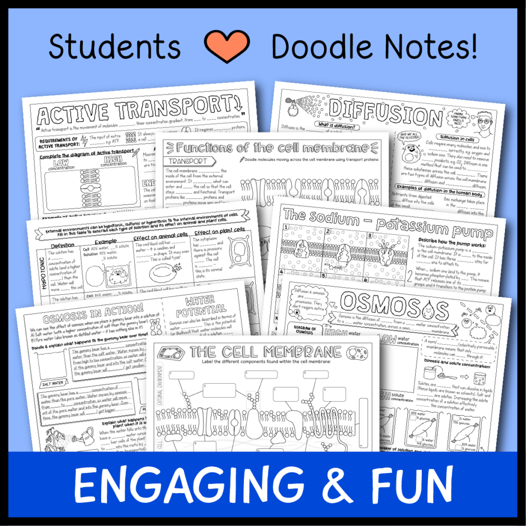 Cell Transport Doodle Notes - Unit Bundle - Emmatheteachie
